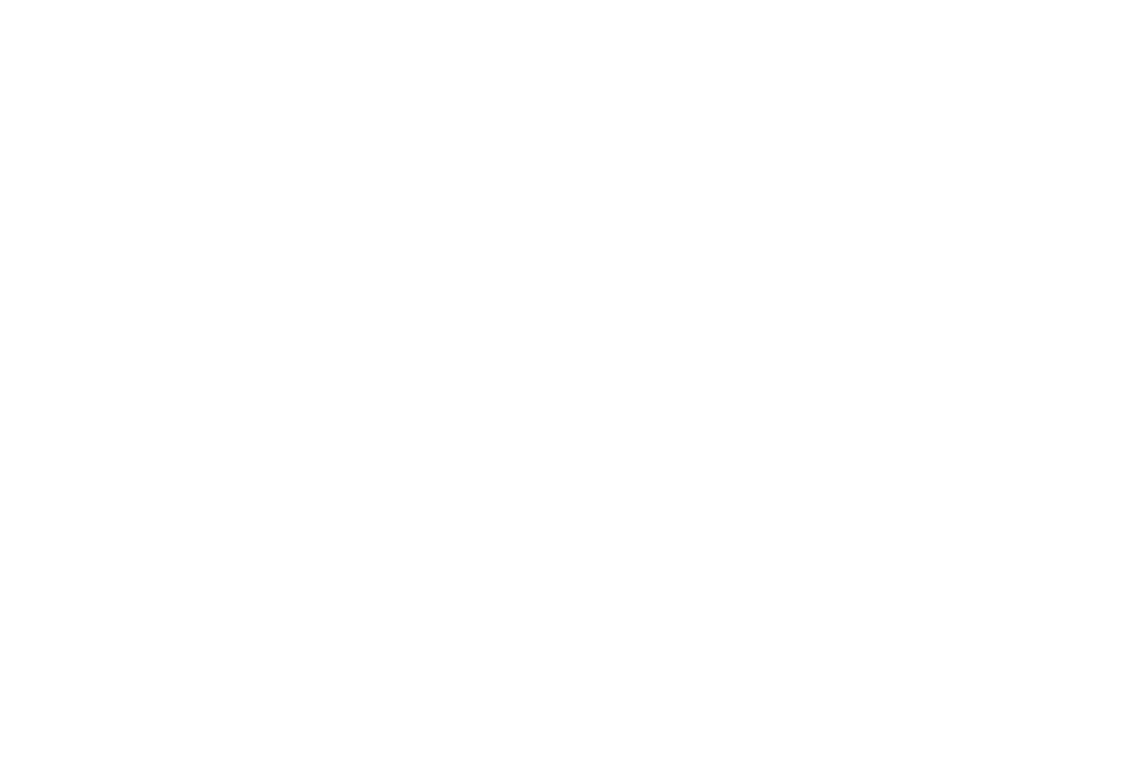 ApplyVS - Visionary Solutions Inc.