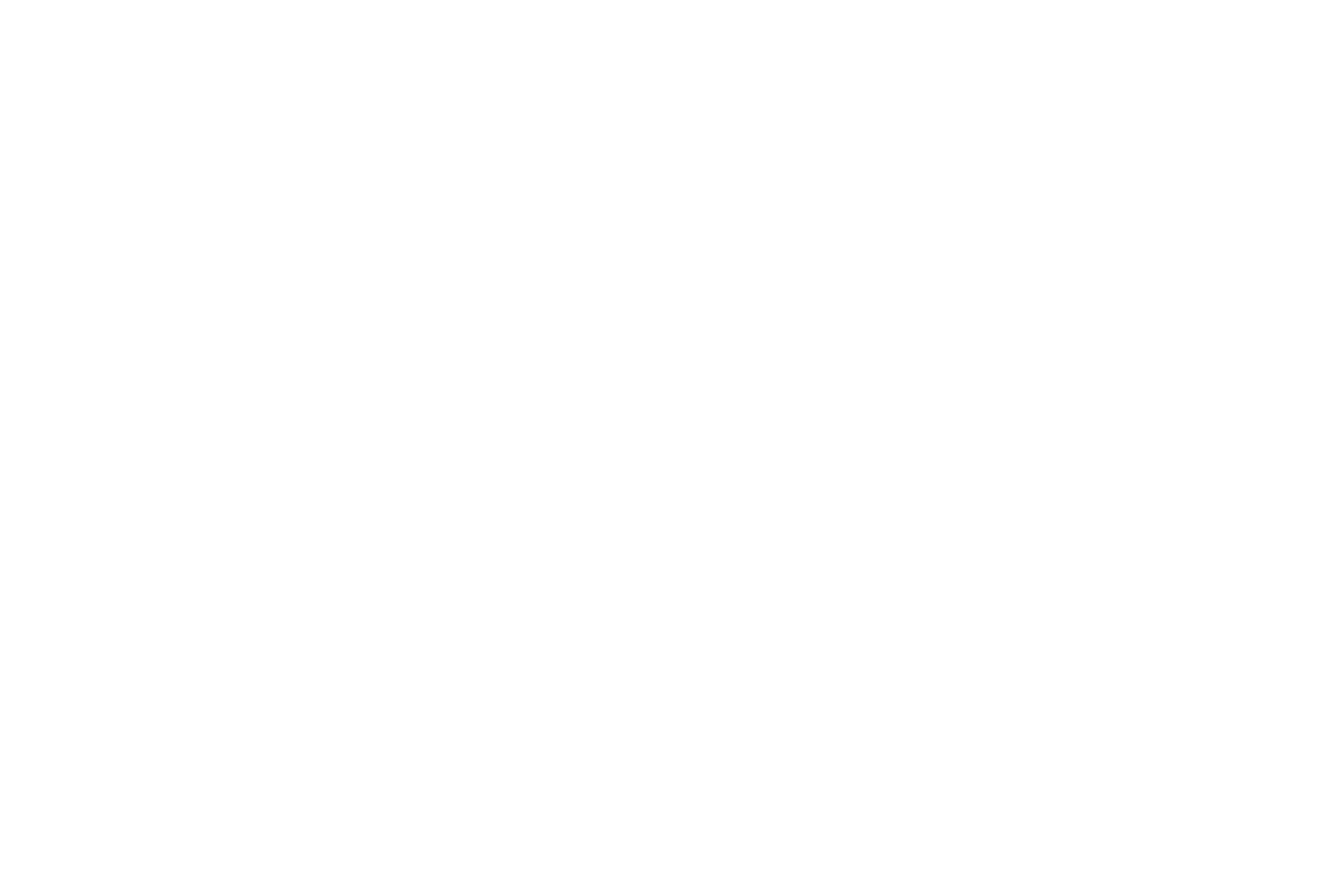 ApplyVS - Visionary Solutions Inc.